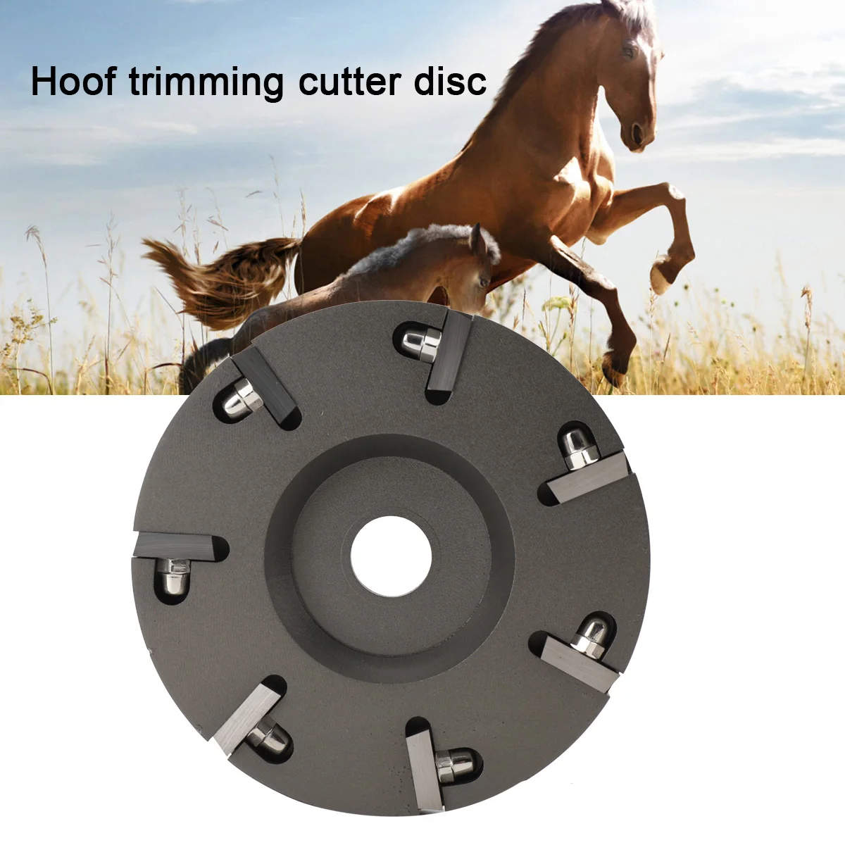 Hoof Care Tool Livestock Hoof Trimming Disc Plate Hoof Trimming Discs ...