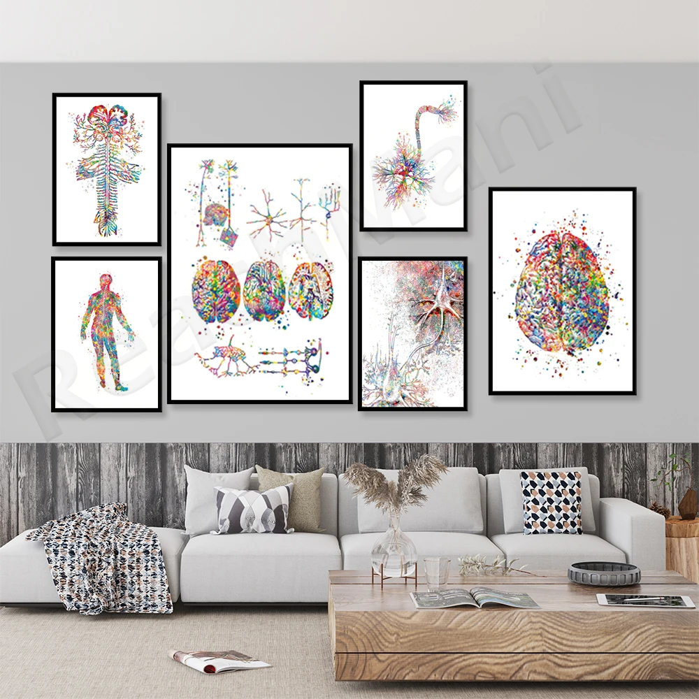 Neuroscience-art-neurology-anatomy-brain-nervous-system-neuron-cell ...