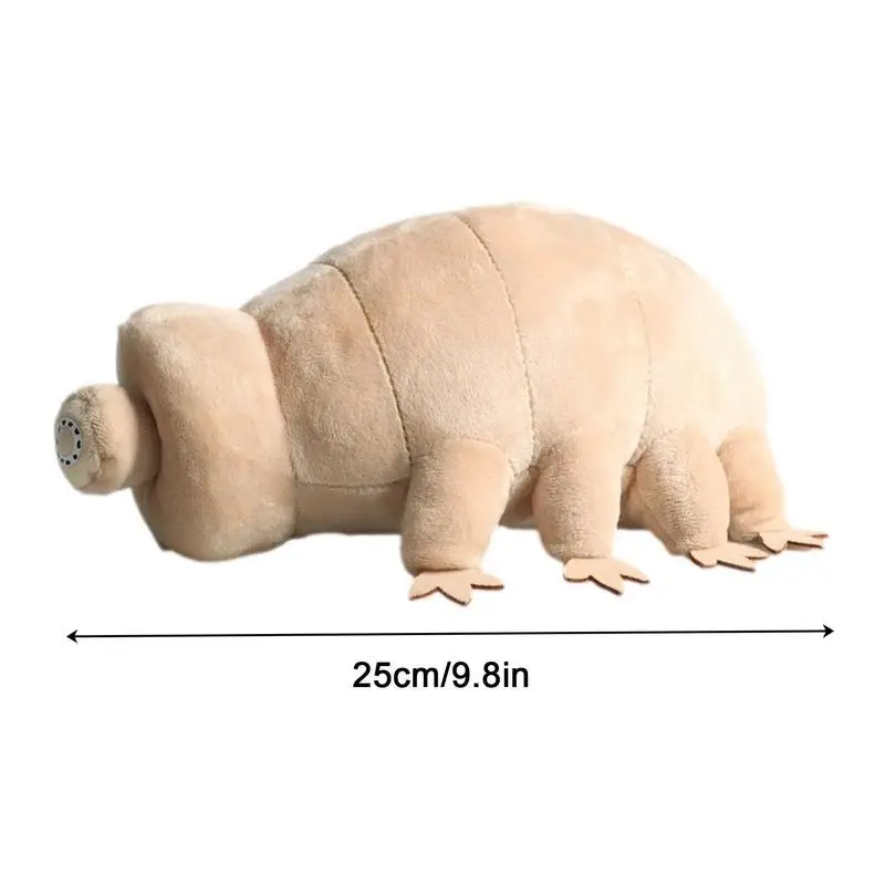 Water Bear Actual Size