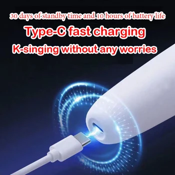 ZLWR 2022-2024 BYD ATTO 3 Dolphin Seal Song plus car microphone with ...