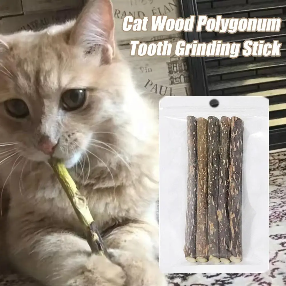 Cat-Molar-Stick-Natural-Catnip-Teeth-Cleaning-Toothpaste-Pet ...