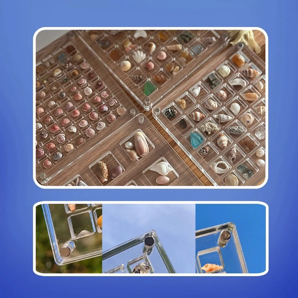 Grids Acrylic Seashell Display Box 2024 - Pera