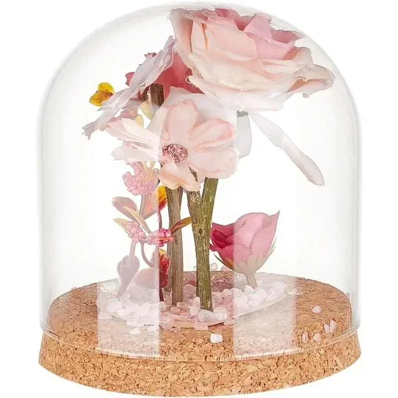 1-pc-Glass-Display-Dome-Cloche-Glass-Bell-Jar-Display-Dome-Glass ...