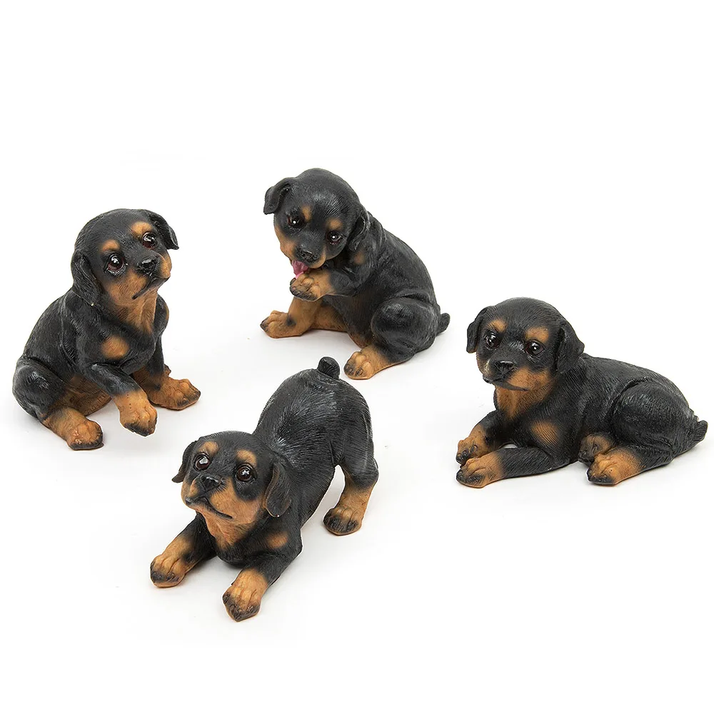 What Breeds Make A Miniature Rottweiler