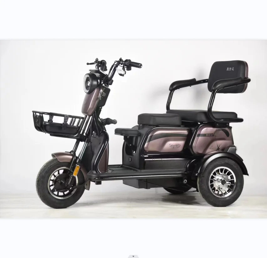 Three-Wheels-Cargo-Electric-Tricycle-Motorcycle-Mobility-Scooter-ebike ...