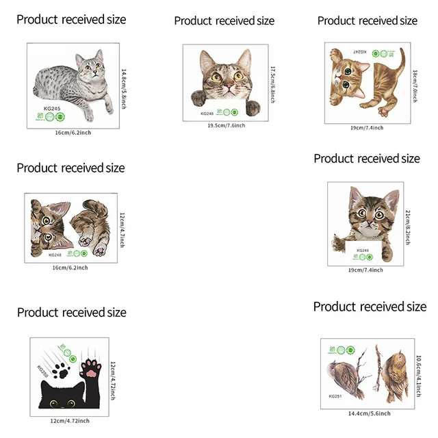 Cat Life Cycle For Kids