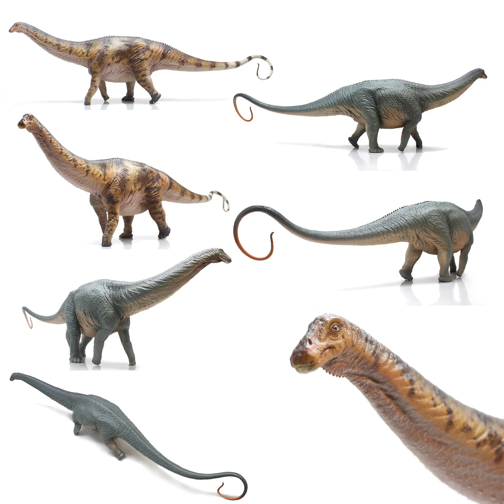 GRTOYS-X-HAOLONGGOOD-1-35-Apatosaurus-Model-Animal-Collector-Dinosaur ...