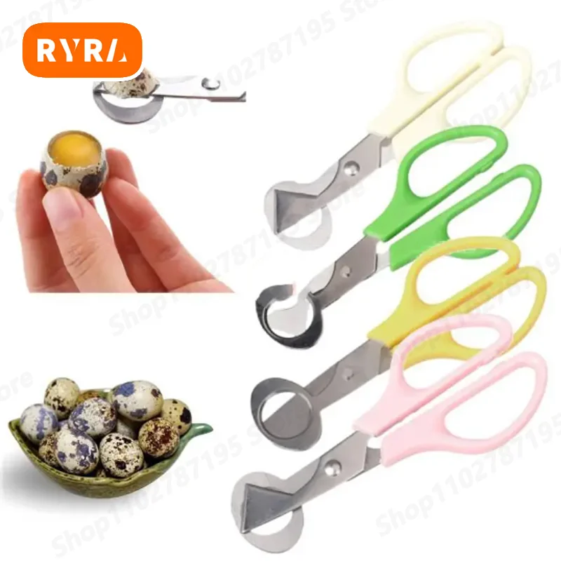 Quail-Egg-And-Bird-Egg-Shell-Stainless-Steel-Scissors-Egg-Opener ...