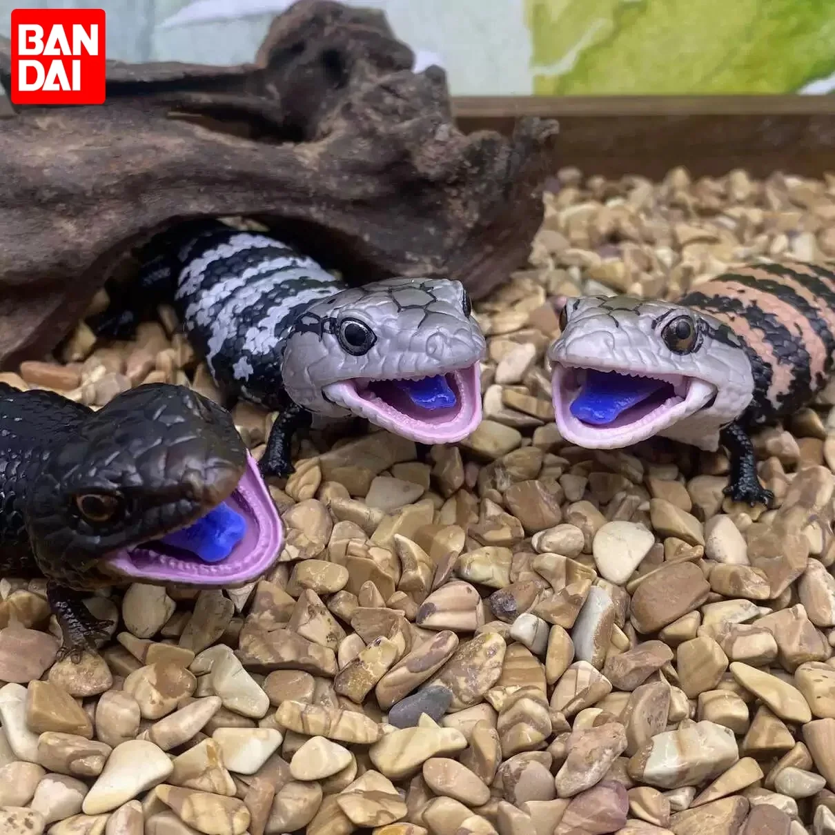 Original-Bandai-Gashapon-Big-Biological-Map-Gecko-Lizard-Blue-Tongued ...