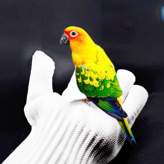 Parrot Anti-bite Gloves | That's So Fetch!