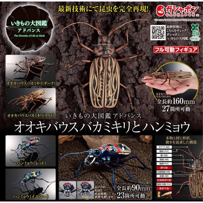 Bandai Original Gashapon Animal Figure Atlas Beetle & Horned Beetle ...