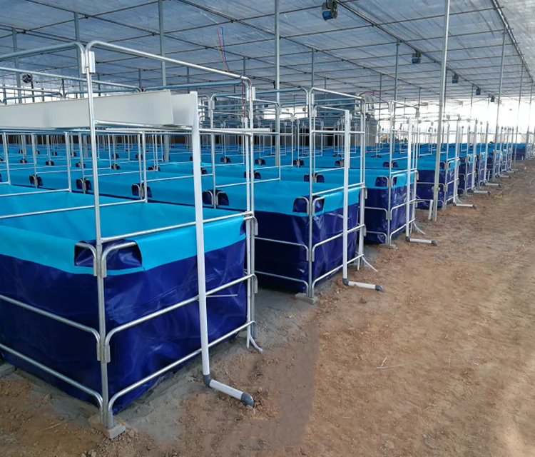 SDM-Collapsible-Round-Or-Rectangular-Fish-Farming-Ponds-Fish-Breeding ...