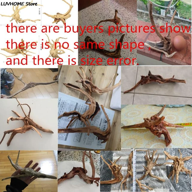 Wooden Twigs For Decoration