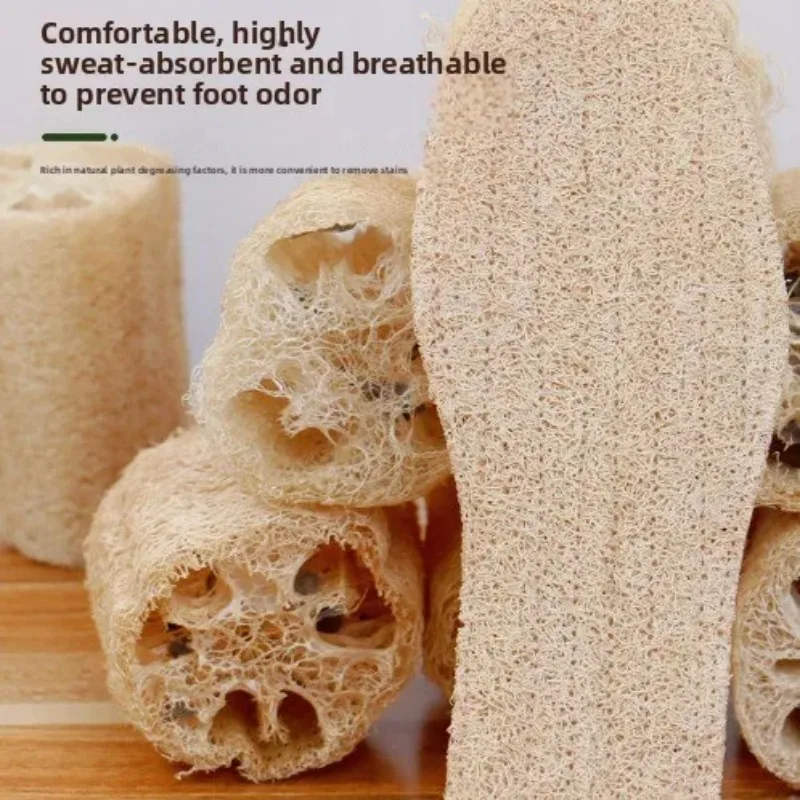 Sweat-Absorbent Loofah Insole: Deodorant, Breathable, Unisex, All ...