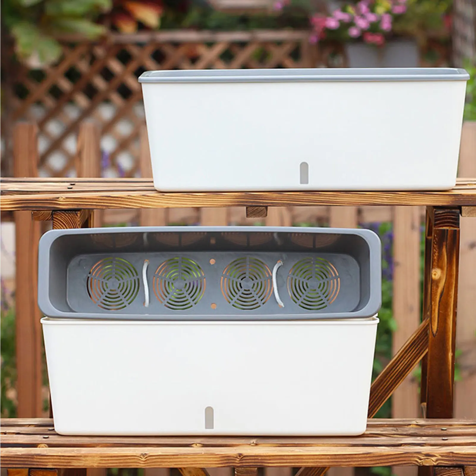 Self-Watering Planter Pots with Water Level Indicator – THE GREEN THUMB ...