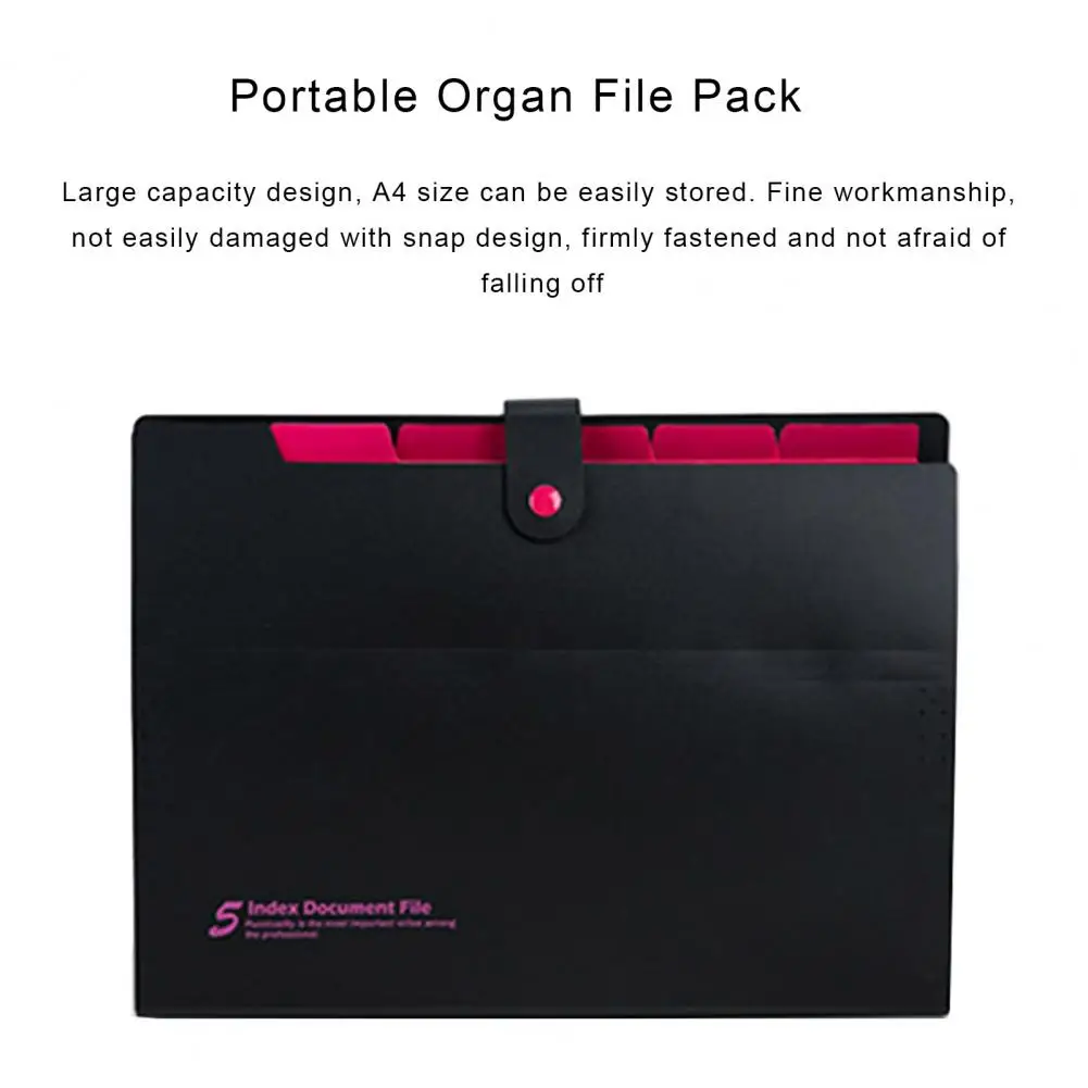 Design-Document-Holder-Portable-Accordion-Folder-with-Bungee-Closure ...
