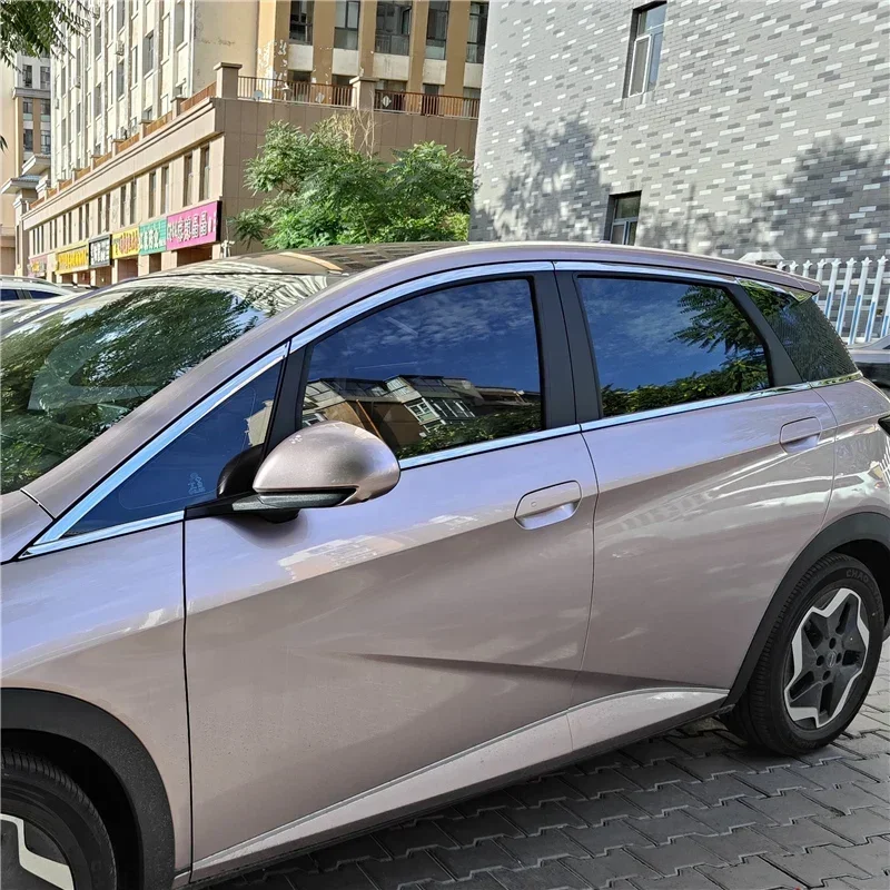 WELKINRY-For-BYD-ATTO-2-Dolphin-2022-2023-2024-Stainless-Steel-Car-Body ...