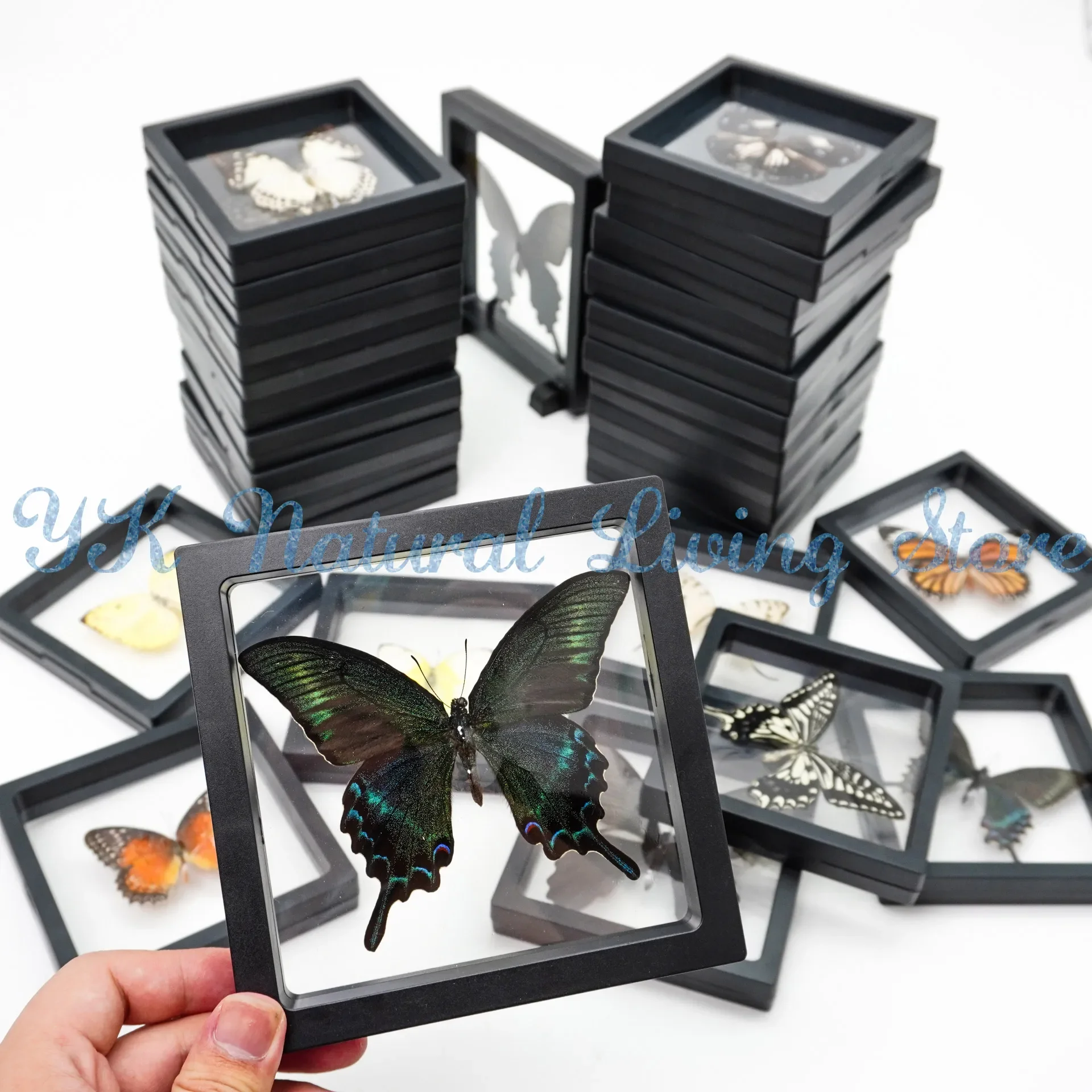2PCS-40-Kinds-Of-Real-Butterfly-Specimens-Photo-Frame-Office-Home ...