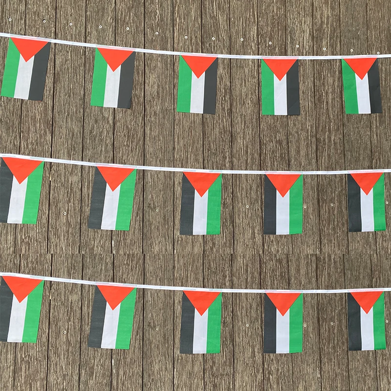 xvggdg 20pcs/set Palestine bunting flags Pennant String Banner Buntings ...