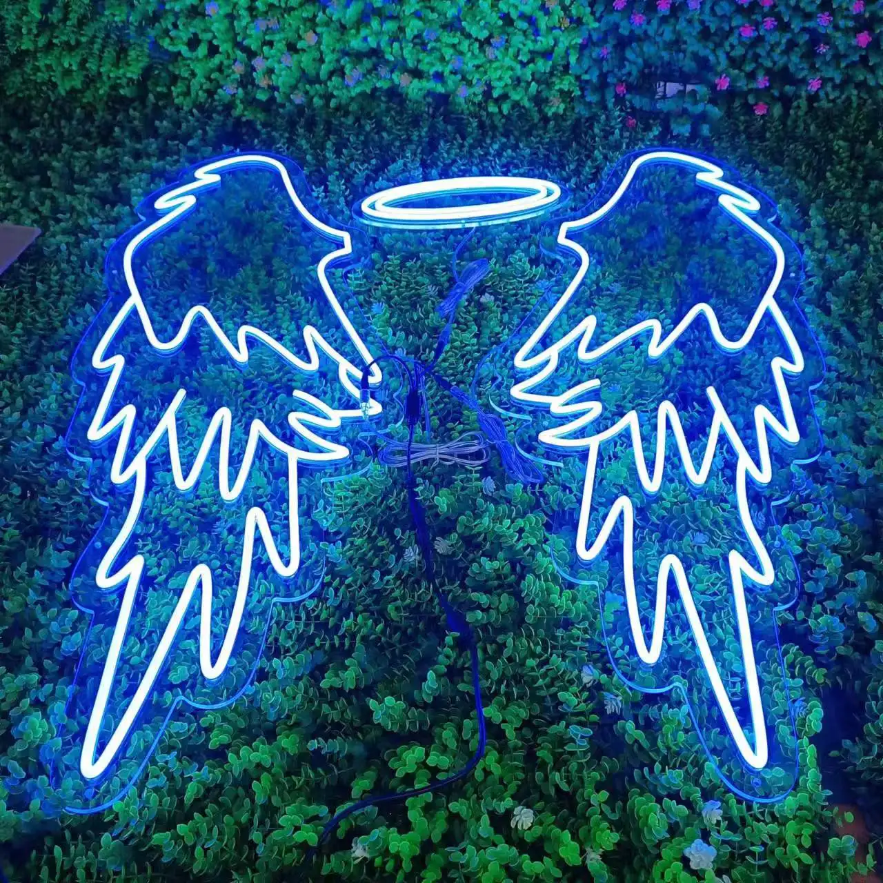 Pictures Of Angel Wings With Halo
