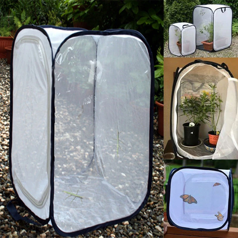 Butterfly Habitat Insect Cage Mesh Butterfly Cages Pop up Collapsible ...
