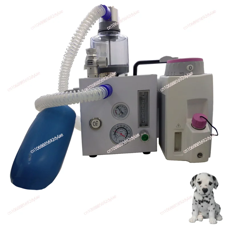 Veterinary-Anesthesia-Oxygen-Flow-Rate-Pet-Inhalation-Anesthesia ...