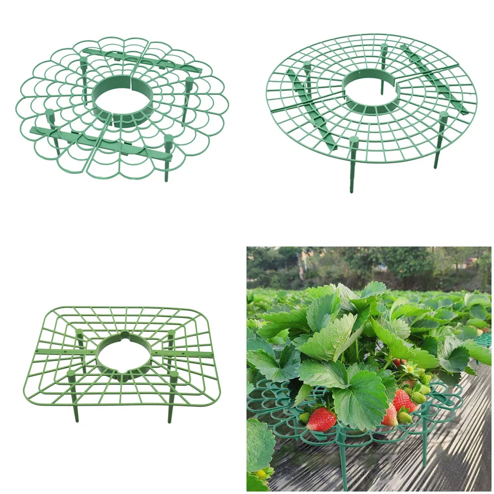 Strawberry-Stand-Frame-Holder-Balcony-Planting-Rack-Fruit-Support-Plant ...