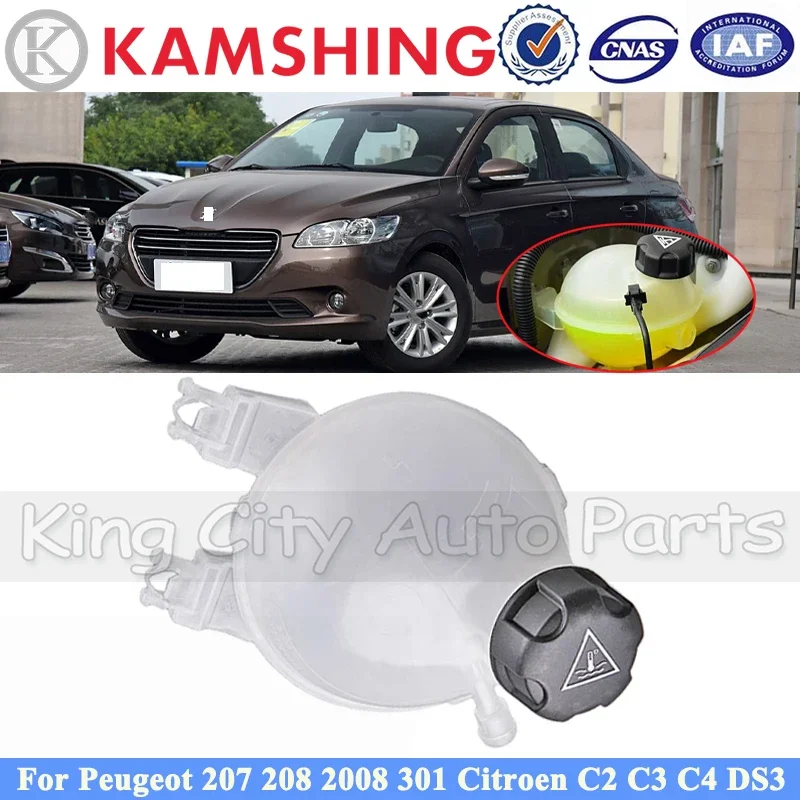 S45b16cb864fc4043ac7e8261b5607094T.jpg