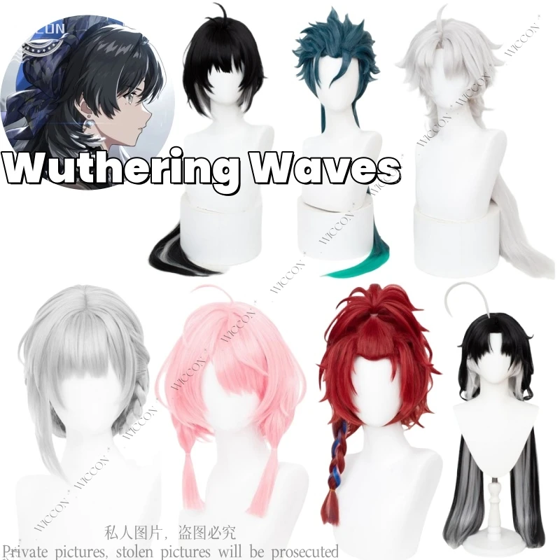 Wuthering-Waves-Lingyang-Jiyan-Rover-Chixia-Sanhua-Wuthering-Waves.jpg