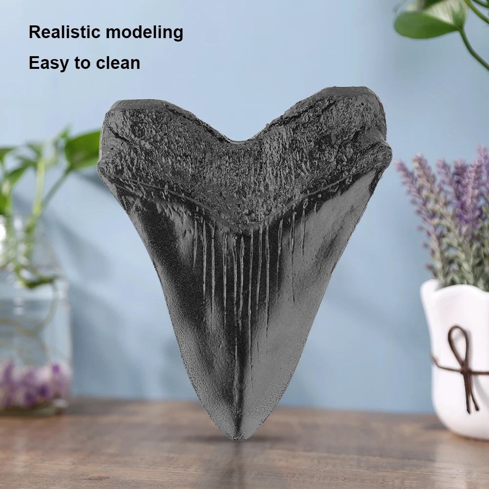 Megalodon Shark Tooth Replica