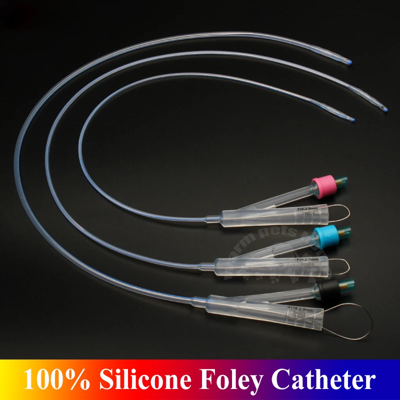 10PCS Medical 2-Way Silicone Foley Catheter Cannula 6Fr 8Fr 10Fr Canine ...