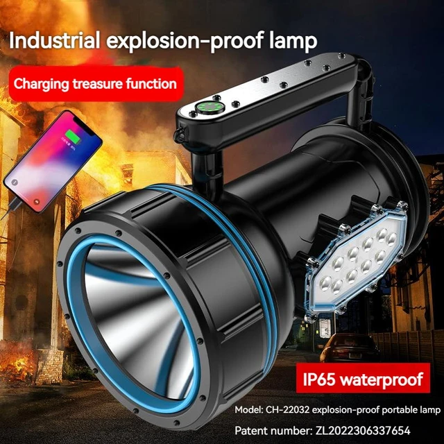 Explosion Proof Drop Light