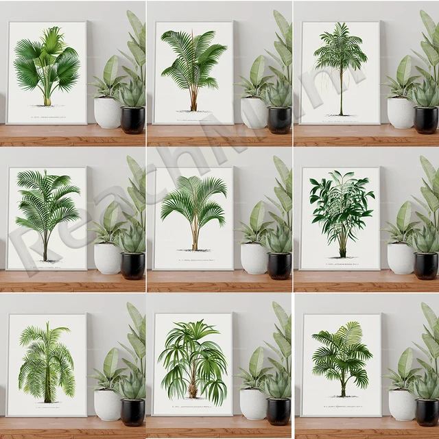 Vintage Palm Leaf Print