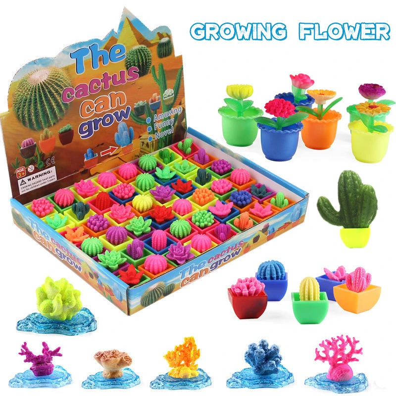 1pc-Plant-Flower-Swell-With-Water-Growing-Up-In-Water-Creative-Magic ...