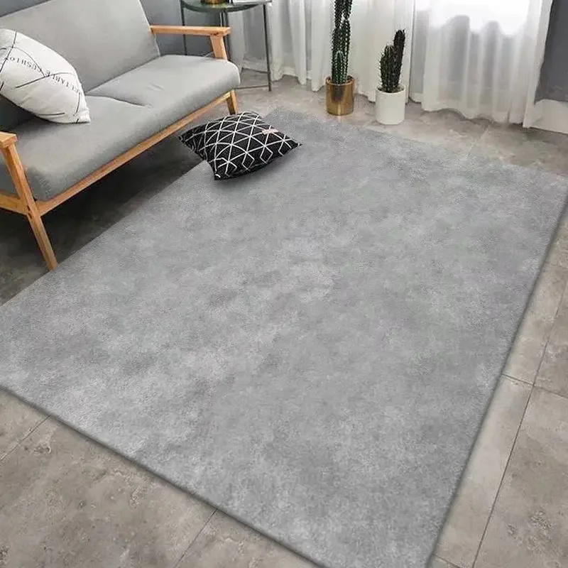 Solid Color Simple Living Room Carpets Light Luxury Art Rugs for ...