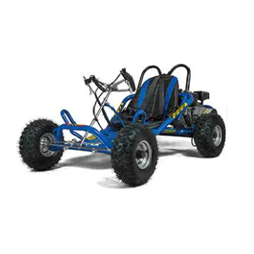 270CC-9HP-Gas-buggy-outside-racing-go-kart-4-wheels-buggy-for-adult ...
