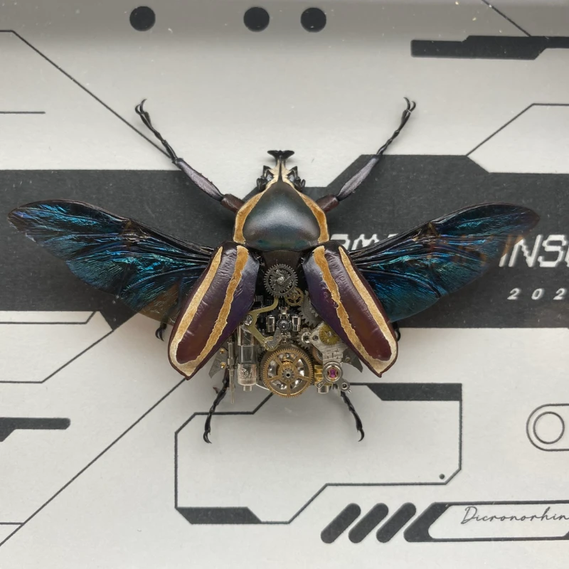 Beetle Punk Specimen Mechanical Style Insects Works Of Art Home ...