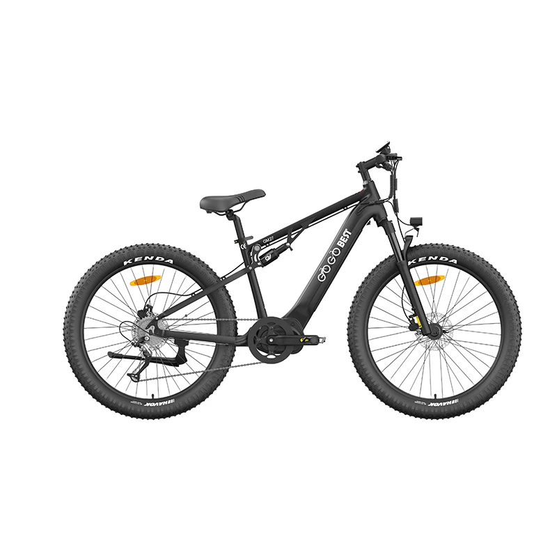 RANDRIDE Forerunner 1000W Electric Bike Full Suspension