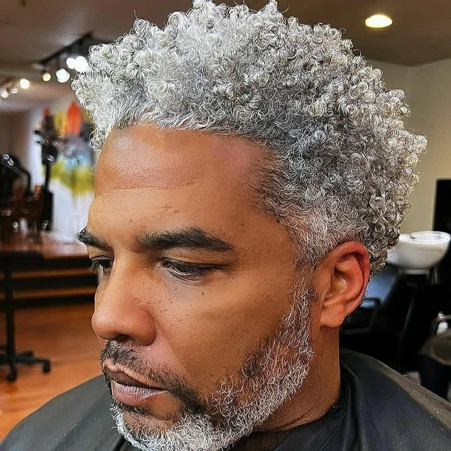 Black And Grey Hair Men