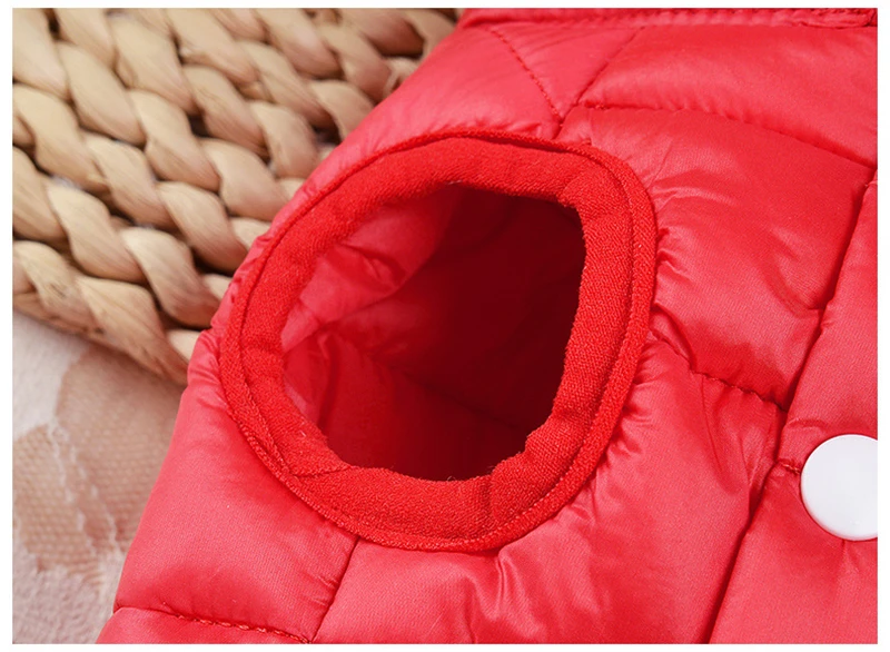 Wind Jacket – Keep The Dog Warm When Going Out – DogMega.Com