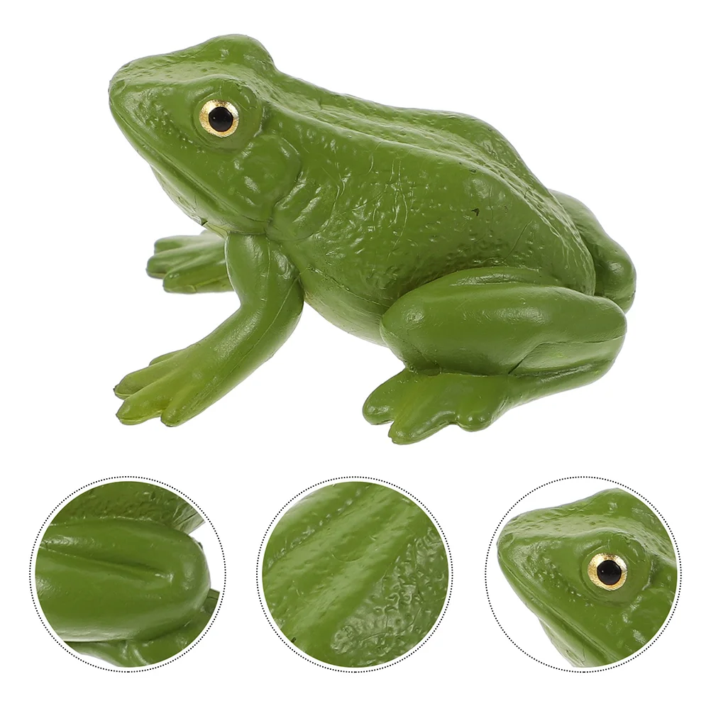 Frog-Model-Frogs-Toys-Simulation-Realistic-Science-And-Education-Models ...