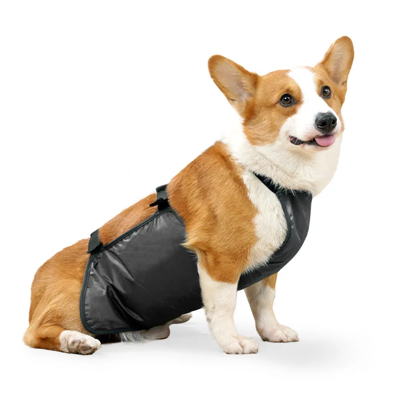 Breathable Dog Belly Band to Protect Pets, Waterproof and Dirt ...