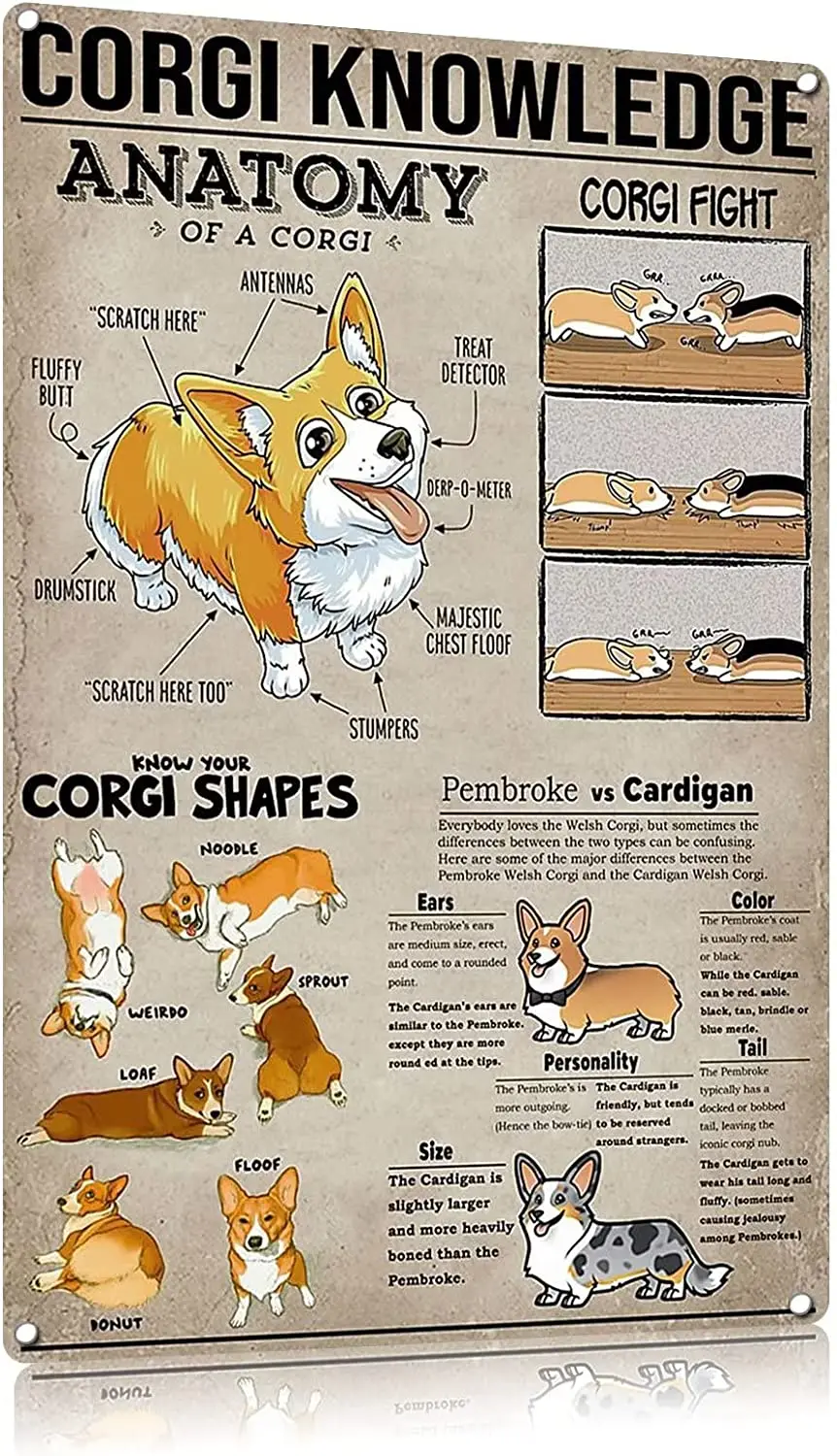 Corgi-Knowledge-Printed-Poster-Metal-Tin-Sign-Animal-Science-School ...