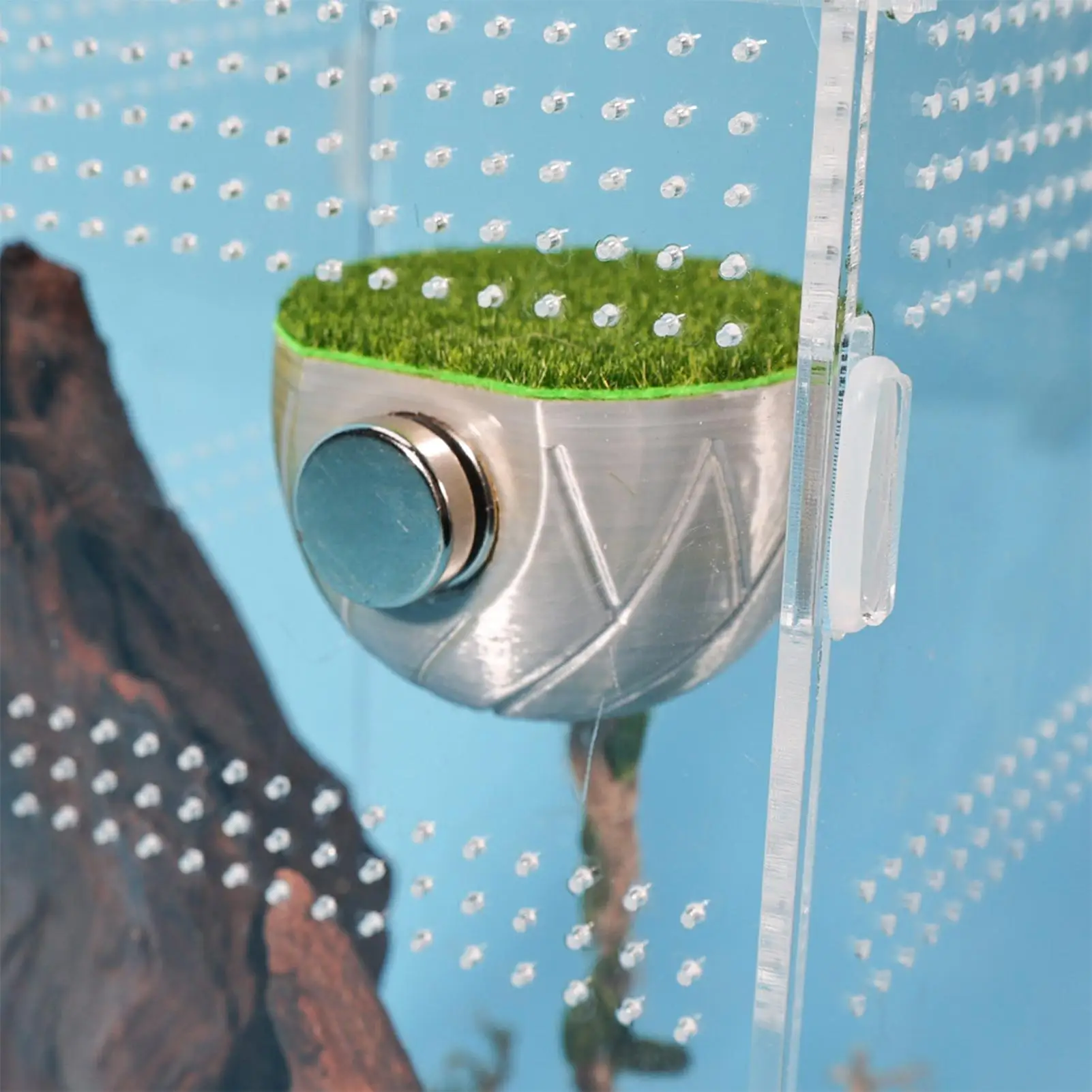 Jumping Spider Enclosure Decor Magnetic Reptile Tank Accessories ...