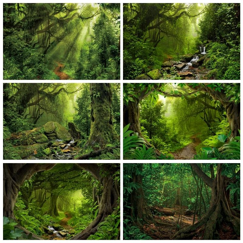 Tropical-Forest-Scenery-Green-Leaves-Backdrop-Rainforest-Adventure ...