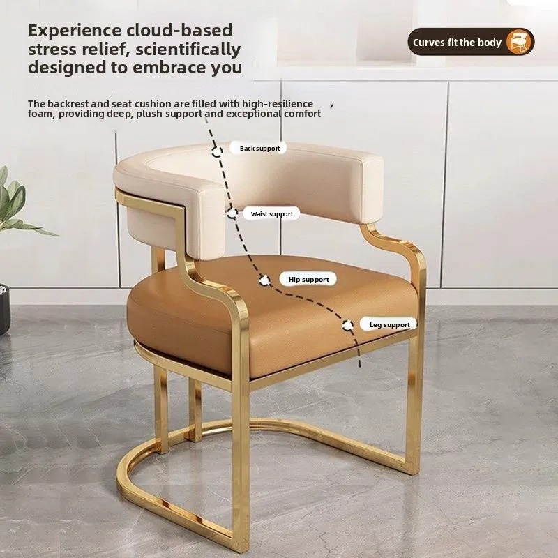 Modern Light Luxury Accent Chair Premium Dining Chair for Salon ...