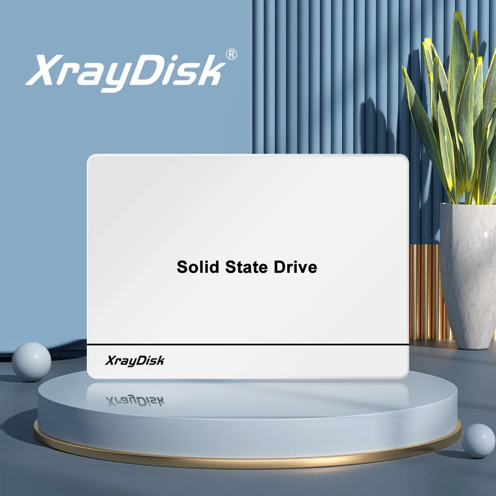 Xraydisk 480gb