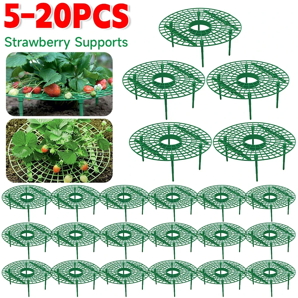 5PCS Strawberry Supports with 4 Sturdy Legs Garden Plants Fruit Stand ...