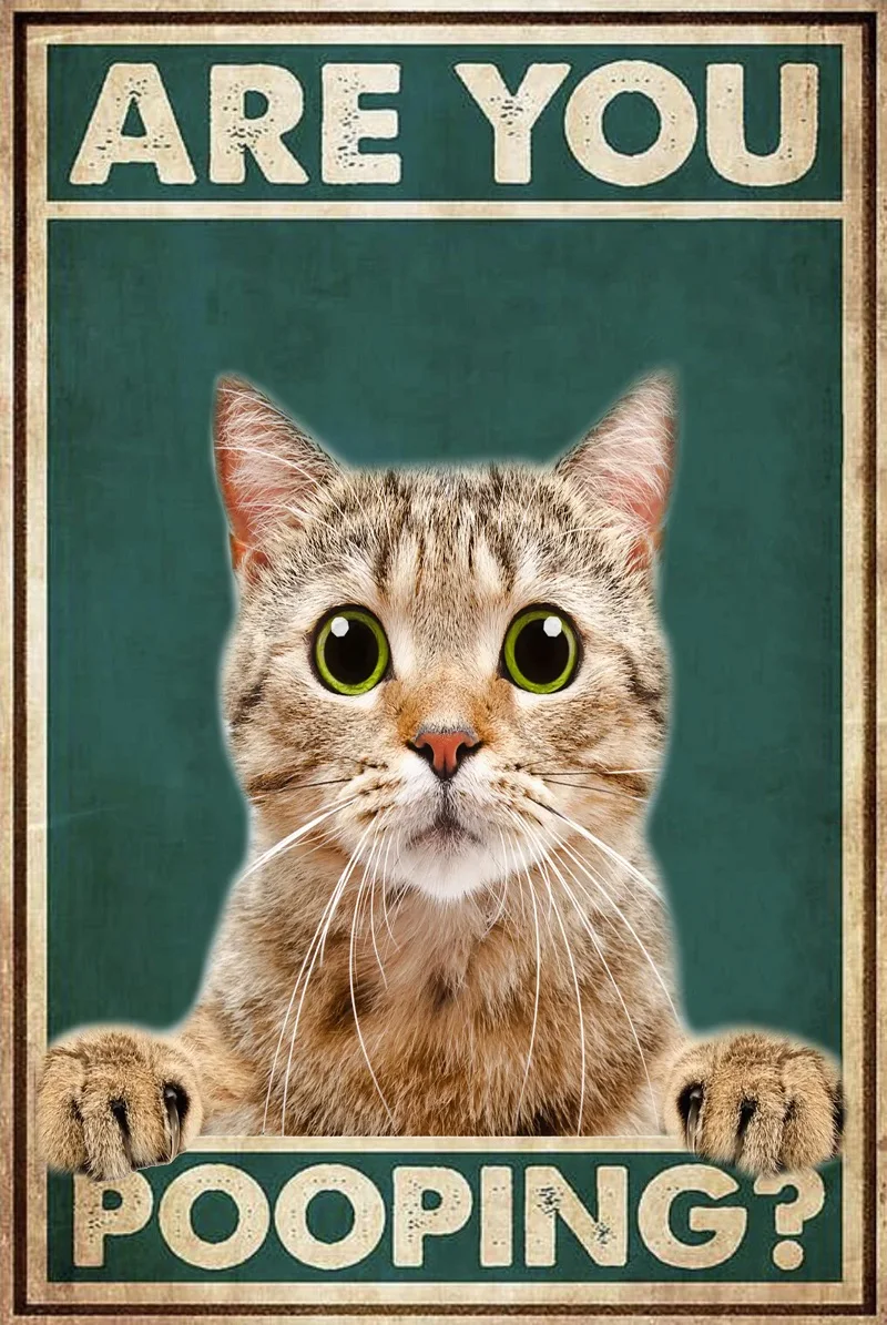 Are-You-Pooping-Poster-Bathroom-Funny-Bathroom-Sign-Canvas-Prints-Cute-Cat-Quote-Art-for ...