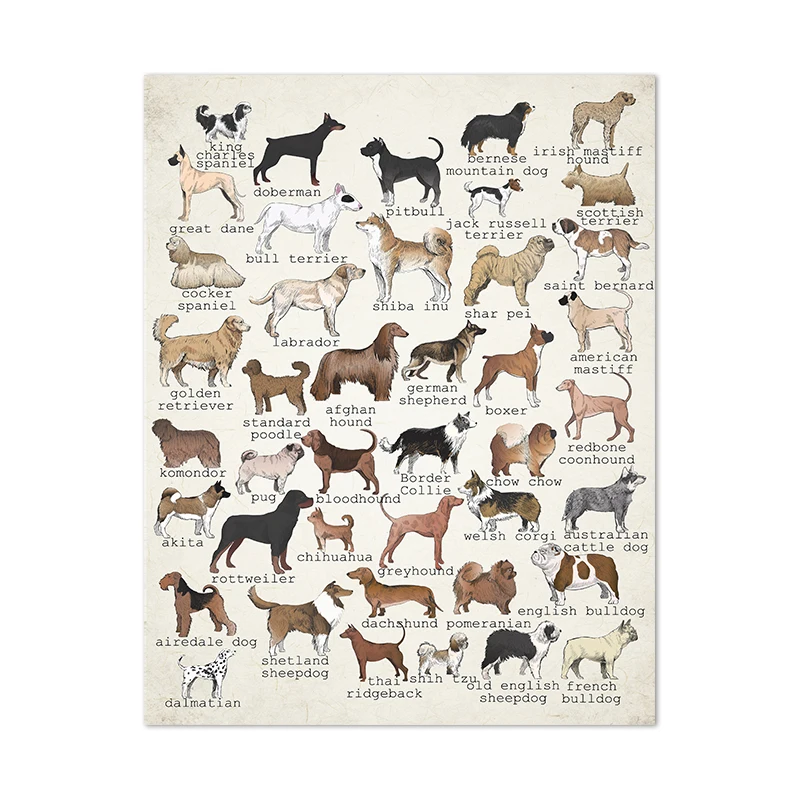 Dog Breeds Alphabet By